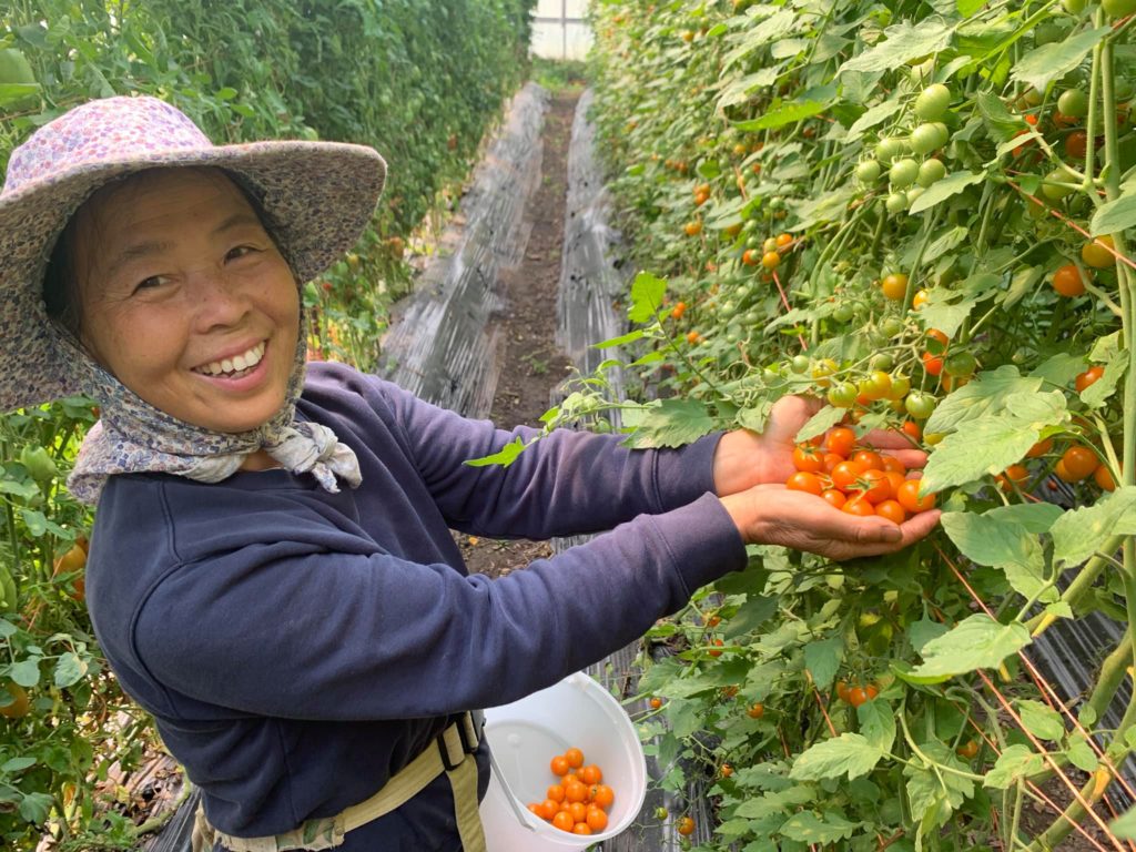 Our Programs - The Food Group