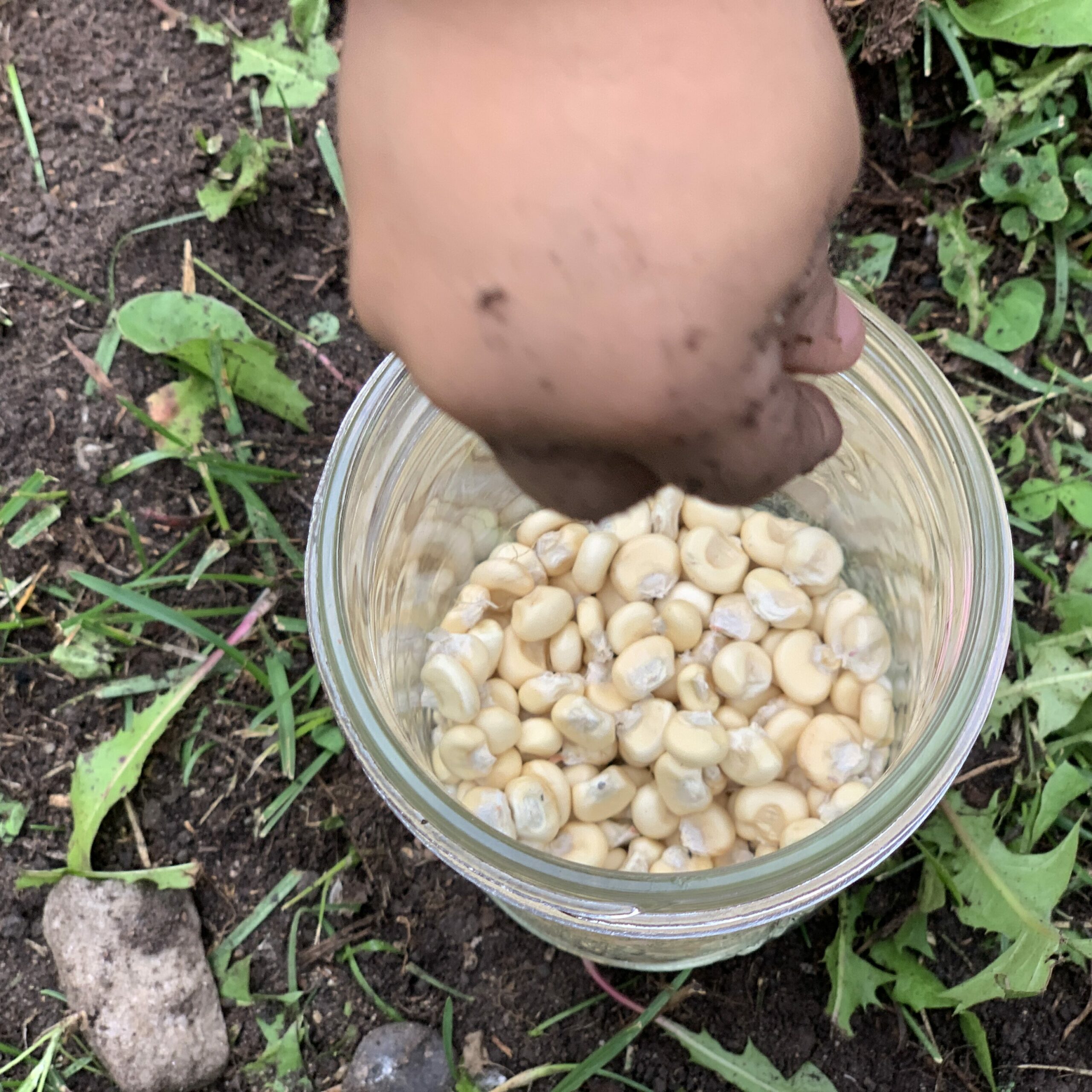 Farmer Profile: Yawelyahsi·Yó· Farm - The Food Group