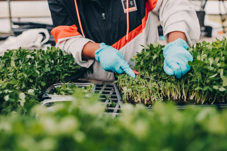 The Food Group - Fighting hunger. Nourishing our community.