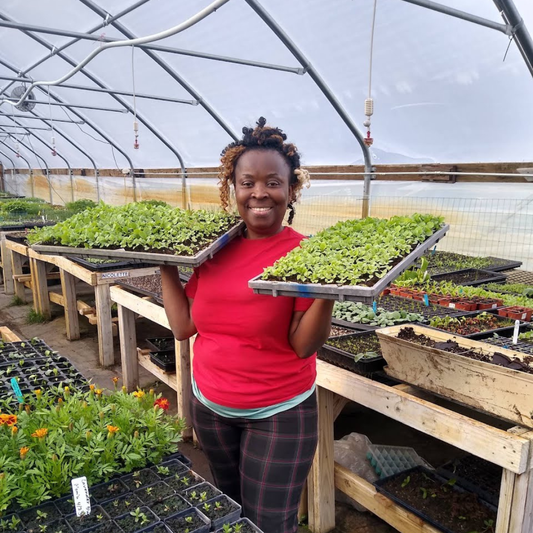 Blessings Farm - The Food Group