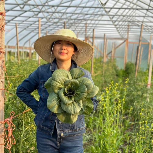 Meet Our Farmers - The Food Group