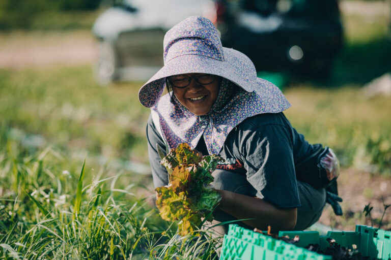 Celebrating Groundbreaking Women in Minnesota's Food System - The Food ...